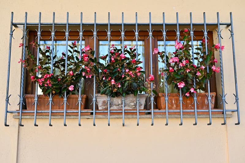 Decorative Planter Boxes with Pink and Red Flowers on a Window Ledge ...