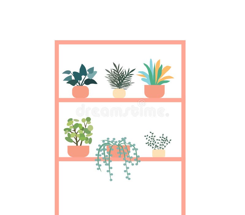 Decorative Plants Stand on the Shelf, a Vector Graphics Stock Vector ...
