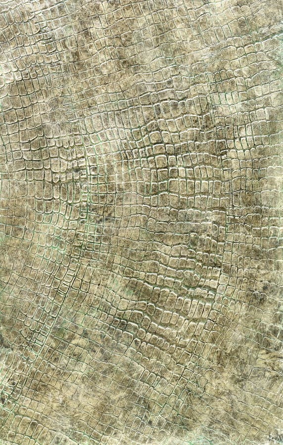 Decorative Plaster Texture, Decorative Wall, Stucco Texture, Decorative ...