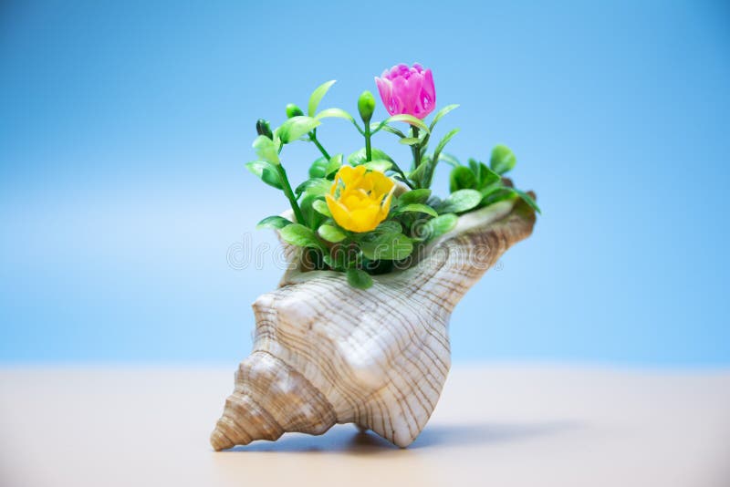 Decorative Plastic Plant in a Shell on a Blue Background Stock Photo ...