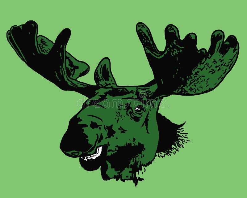 Portrait of moose stock illustration. Illustration of hunting - 142702164