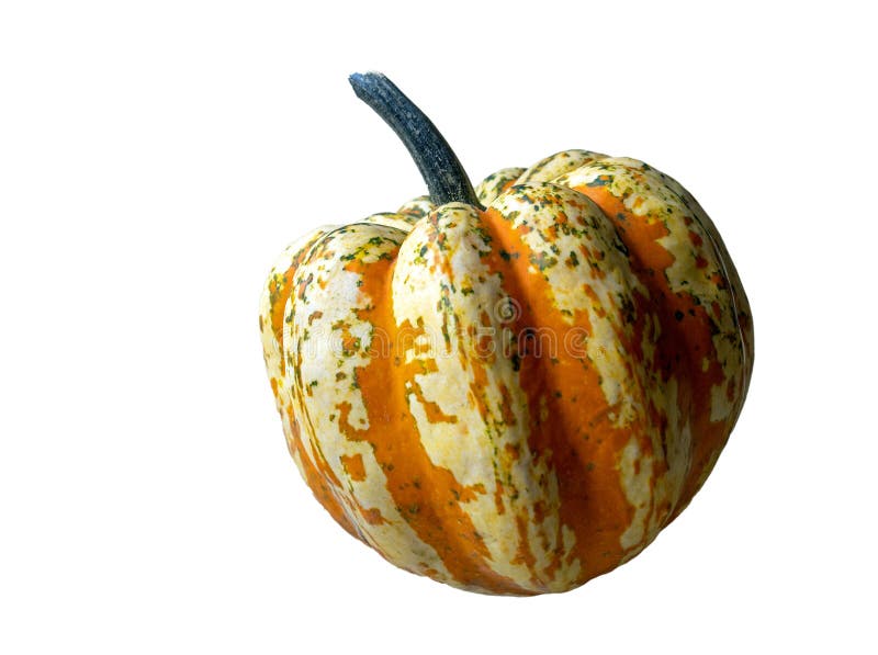 Decorative Pumpkin, Interior Decoration Stock Photo - Image of autumn ...