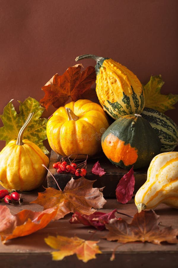 Decorative Pumpkins and Autumn Leaves for Halloween Stock Photo - Image ...