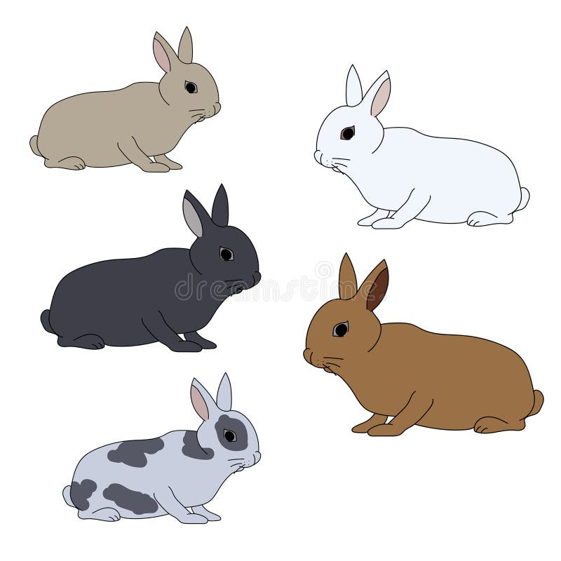 Black White Spotted Bunny Stock Illustrations – 59 Black White Spotted ...