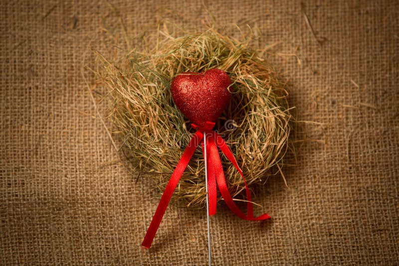 Decorative Red Heart on Stick with Ribbon in Nest Stock Photo - Image ...