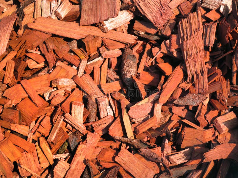 Decorative Red Pine Chips Top View, Background. Stock Photo - Image of ...