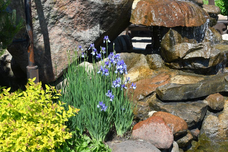 Decorative rock pattern stock photo. Image of decorative - 30934564