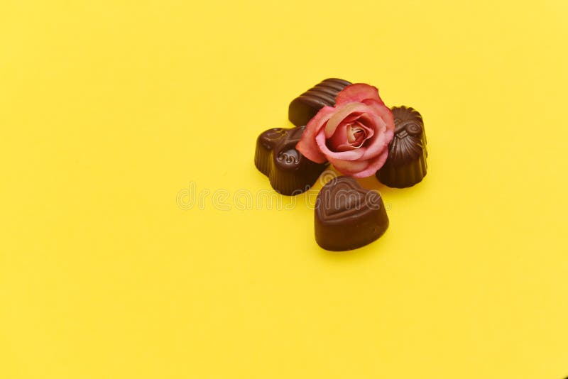 Decorative Rose Bud and Assorted Chocolate with Vanilla Stock Photo ...
