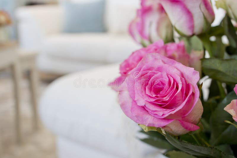 Decorative rose flowers stock image. Image of decor, contemporary ...