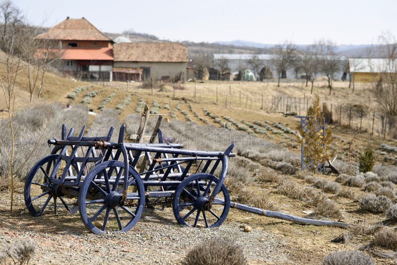 Decorative Rustic Cart in Spring Field Stock Photo - Image of purple ...