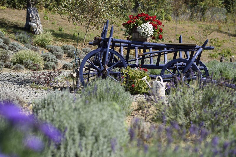 Decorative Rustic Cart in Spring Field Stock Photo - Image of antique ...