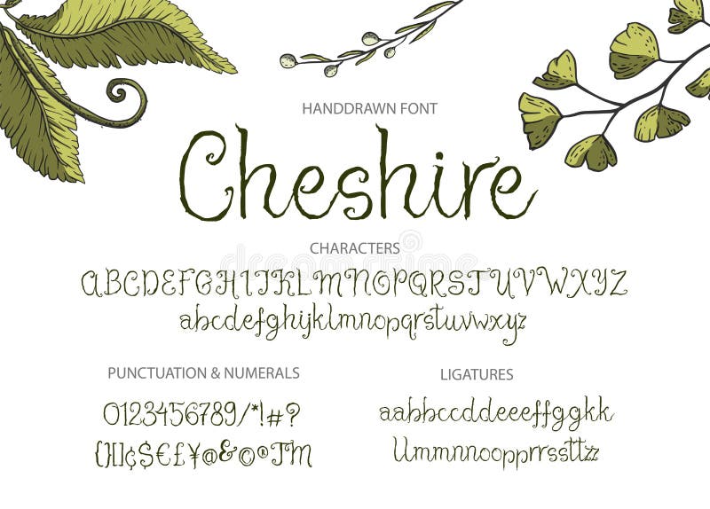 Alphabet calligraphy signs stock vector. Illustration of grunge - 144196634