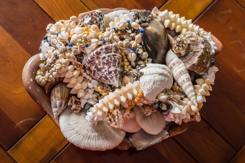 Decorative Sea Shells and Corals Stock Photo - Image of macro, colors ...