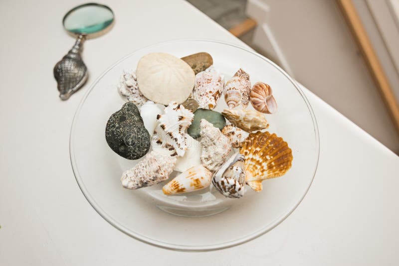 Decorative Sea Shells in Vacation Home Stock Image - Image of shell ...