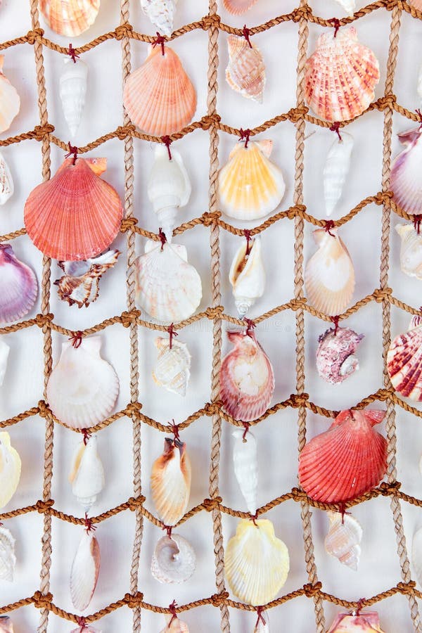 Decorative seashells stock photo. Image of vacation - 129807636