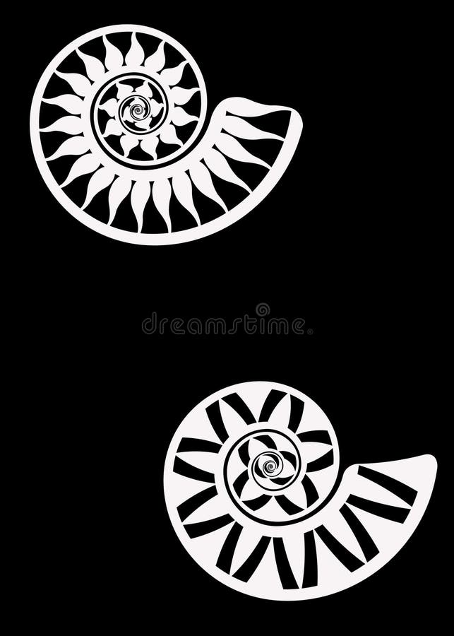 Black White Shells Patterns Stock Illustrations – 581 Black White ...
