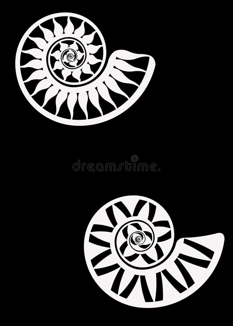 Black White Shells Patterns Stock Illustrations – 581 Black White ...