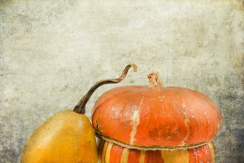 Decorative Small Autumn Pumpkins on the Original Background Stock Image ...