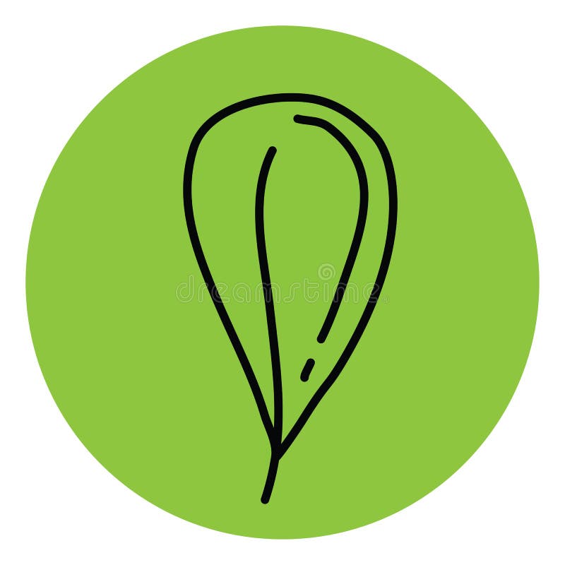 Decorative Small Leaf, Icon Stock Vector - Illustration of leaf ...