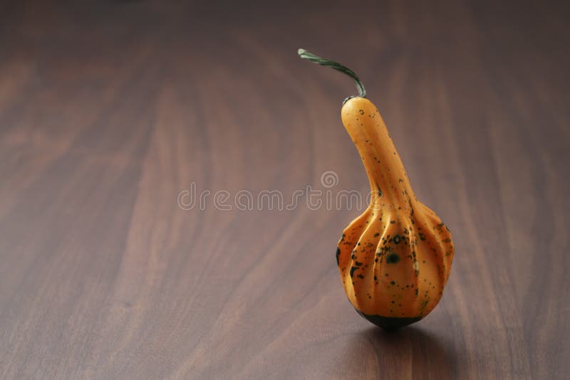 Decorative Small Pumpkin on Wood Table Stock Image - Image of vegetable ...