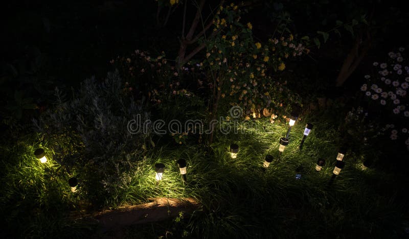 Decorative Small Solar Garden Light, Lanterns in Flower Bed. Garden ...