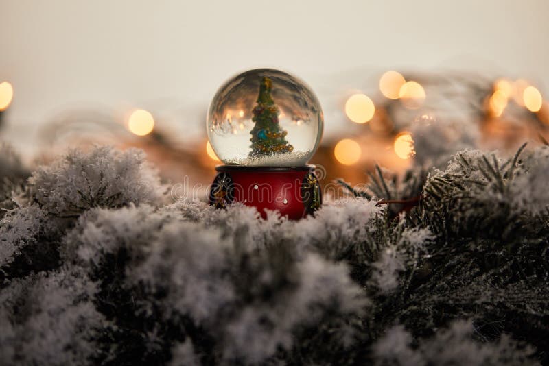 Decorative Snowball with Christmas Tree Standing Stock Photo - Image of ...