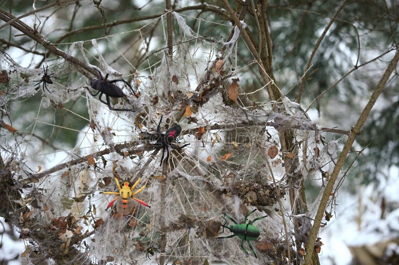 Decorative Spider Web with Artificial Spiders Close-up Stock Image ...