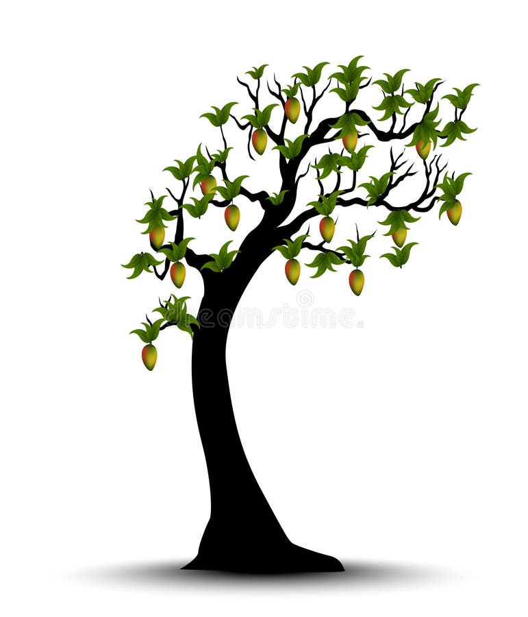 Decorative Spring Branch Tree Silhouette with Mango Stock Vector ...