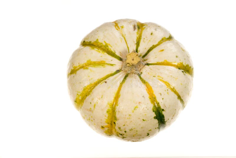 Decorative squash stock image. Image of round, quash, thanksgiving - 335357