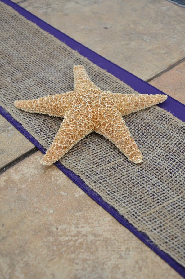 Decorative Starfish Ornament Stock Photo - Image of dried, star: 123271102