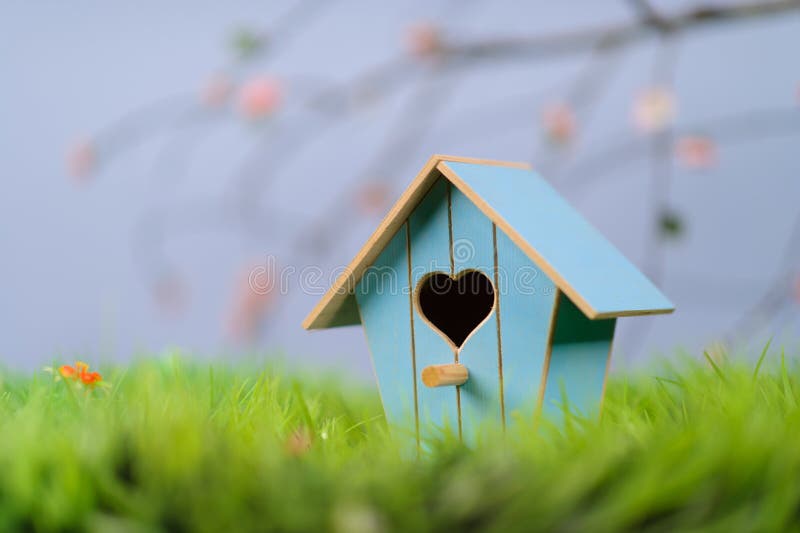 Decorative starling box stock photo. Image of nature - 157064954