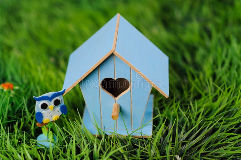 Decorative starling box stock image. Image of nature - 157065245