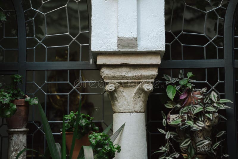 Decorative Stone Column with Plants Stock Photo - Image of botanical ...
