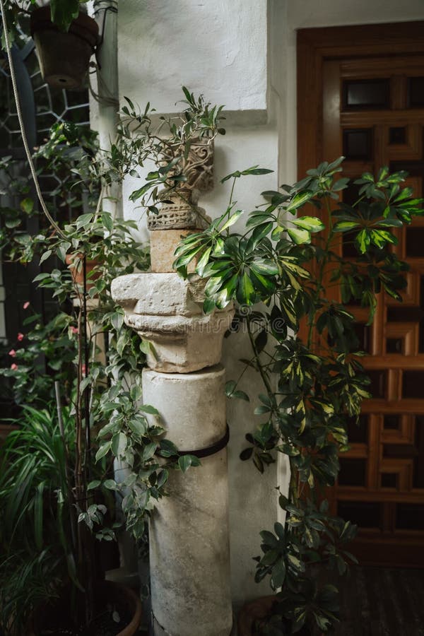 Decorative Stone Column with Lush Greenery Indoors. Stock Photo - Image ...
