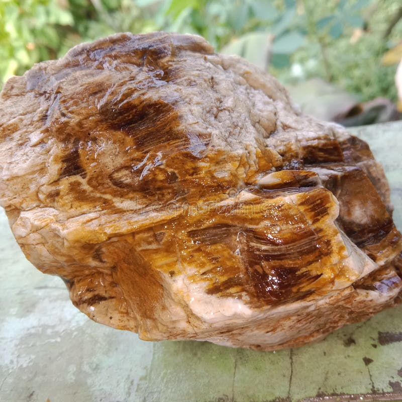 Decorative Stone from Wood Posil Stock Photo - Image of posil ...