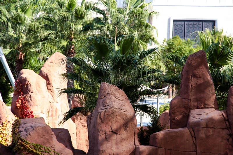 Decorative Stones on a Background of Palm Trees. Relaxation Stock Image ...