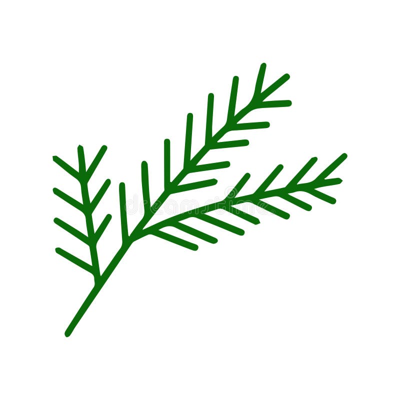 Decorative Stylized Branch of a Pine Tree. Vector Graphic Illustration ...