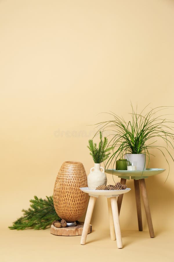 Decorative Tables with Candles and Plants on Beige Background Stock ...
