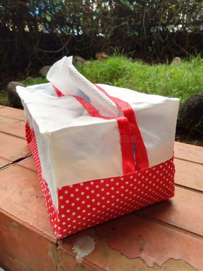 Decorative Tissue Box with Red and White Polka Dots Outdoors Stock ...