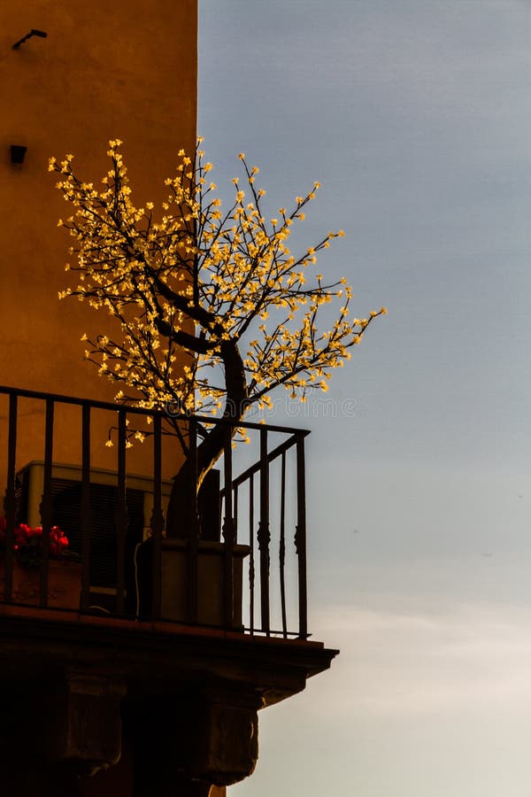 Decorative Tree on Balcony at Sunset Stock Photo - Image of glass ...