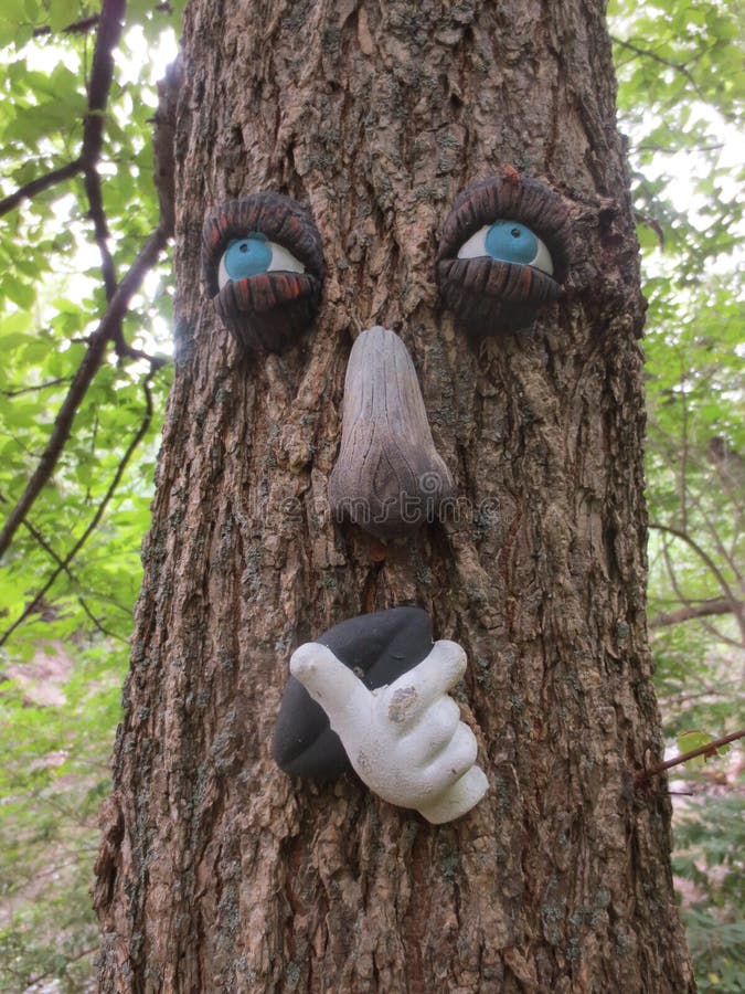 Tree Face stock photo. Image of face, scare, scary, spook - 142241544