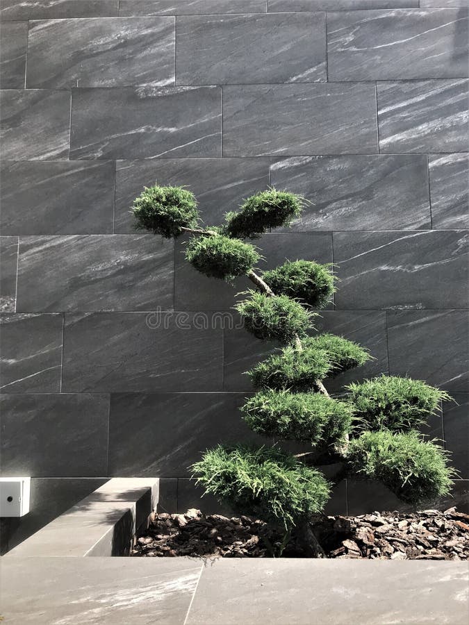 Silhouette Bird Wall Decal Stock Photos - Free & Royalty-Free Stock ...