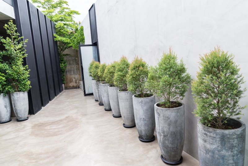 Decorative tree pots. stock image. Image of beautiful - 74595021