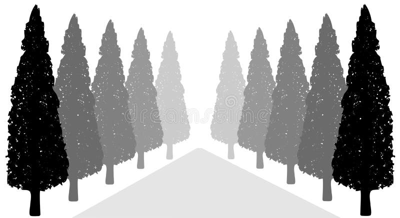 Forest Path, Exit from the Forest. Trees Silhouette Vector, on White ...