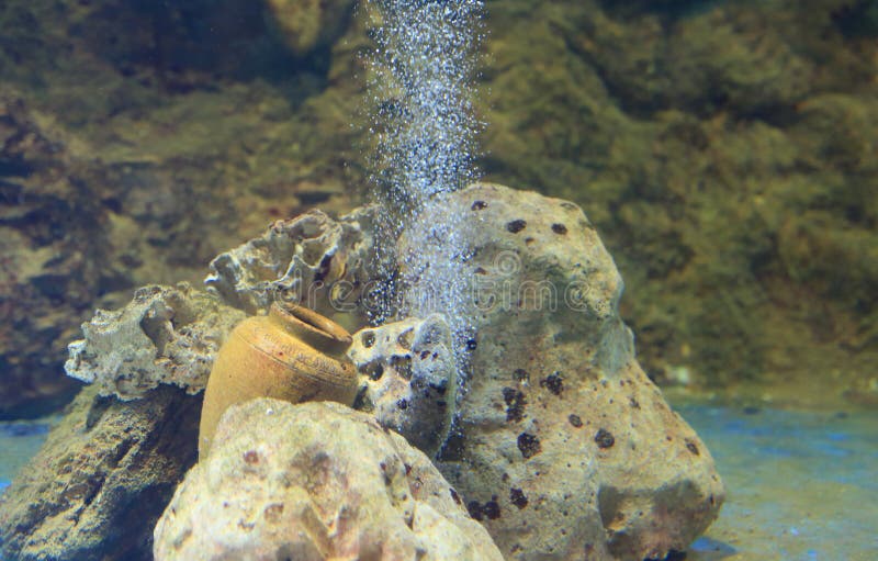 Decorative Under Water Tank with Jar Stock Photo - Image of aquatic ...