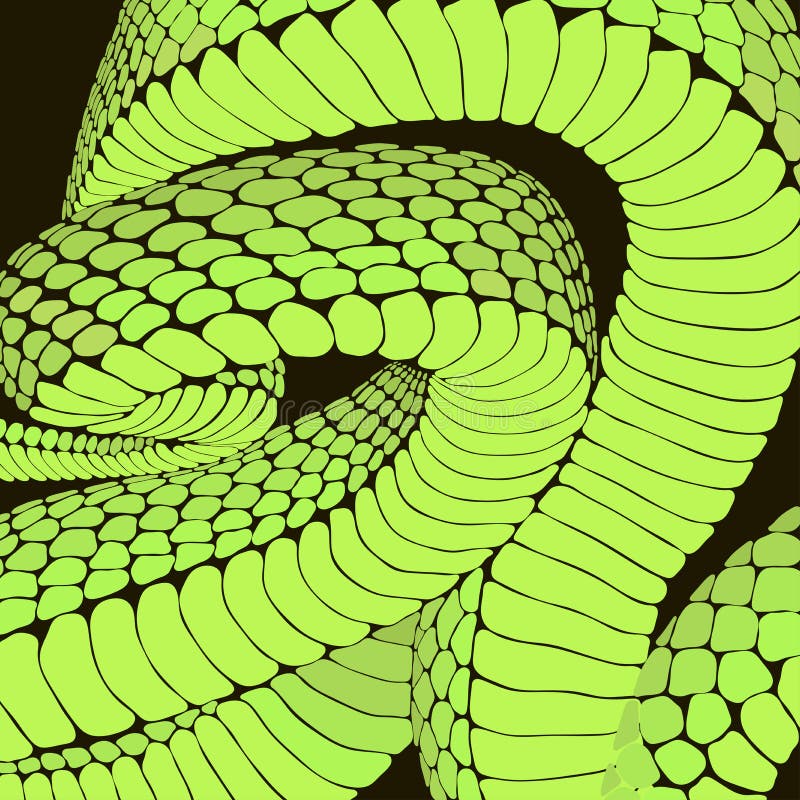 Decorative Vector Texture of Twisted Green Poisonous Snake Stock ...