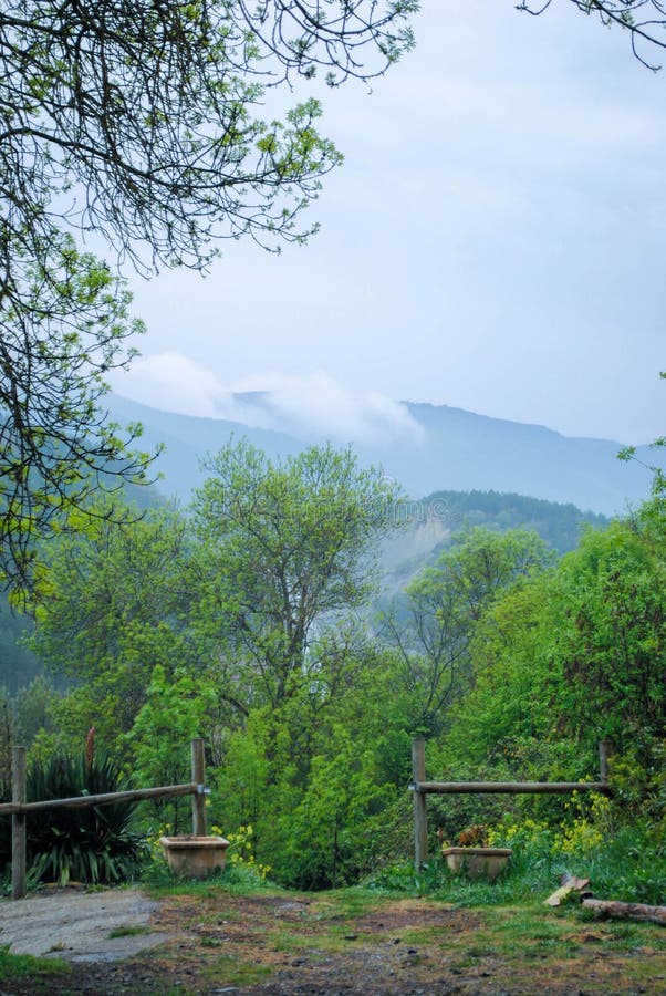 Decorative Viewpoint with Forest and Mountain Views Stock Photo - Image ...