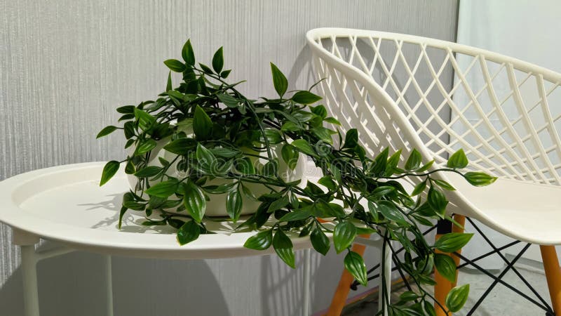 Decorative Vines on the Table Where To Relax. Stock Photo - Image of ...