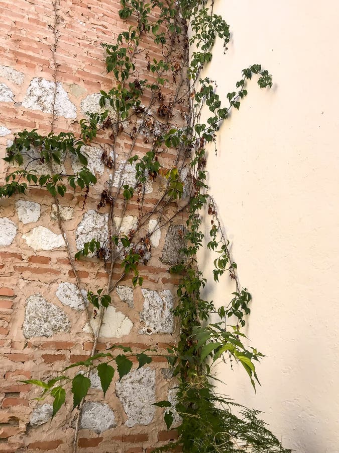 Decorative Wall of Colored Stone Bricks Stock Photo - Image of grunge ...