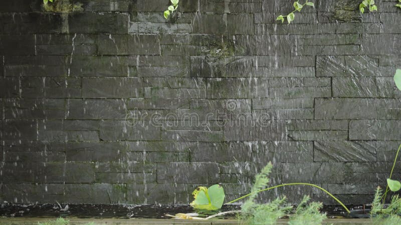 Decorative Waterfall Brick Wall with Dripping Water Stock Footage ...